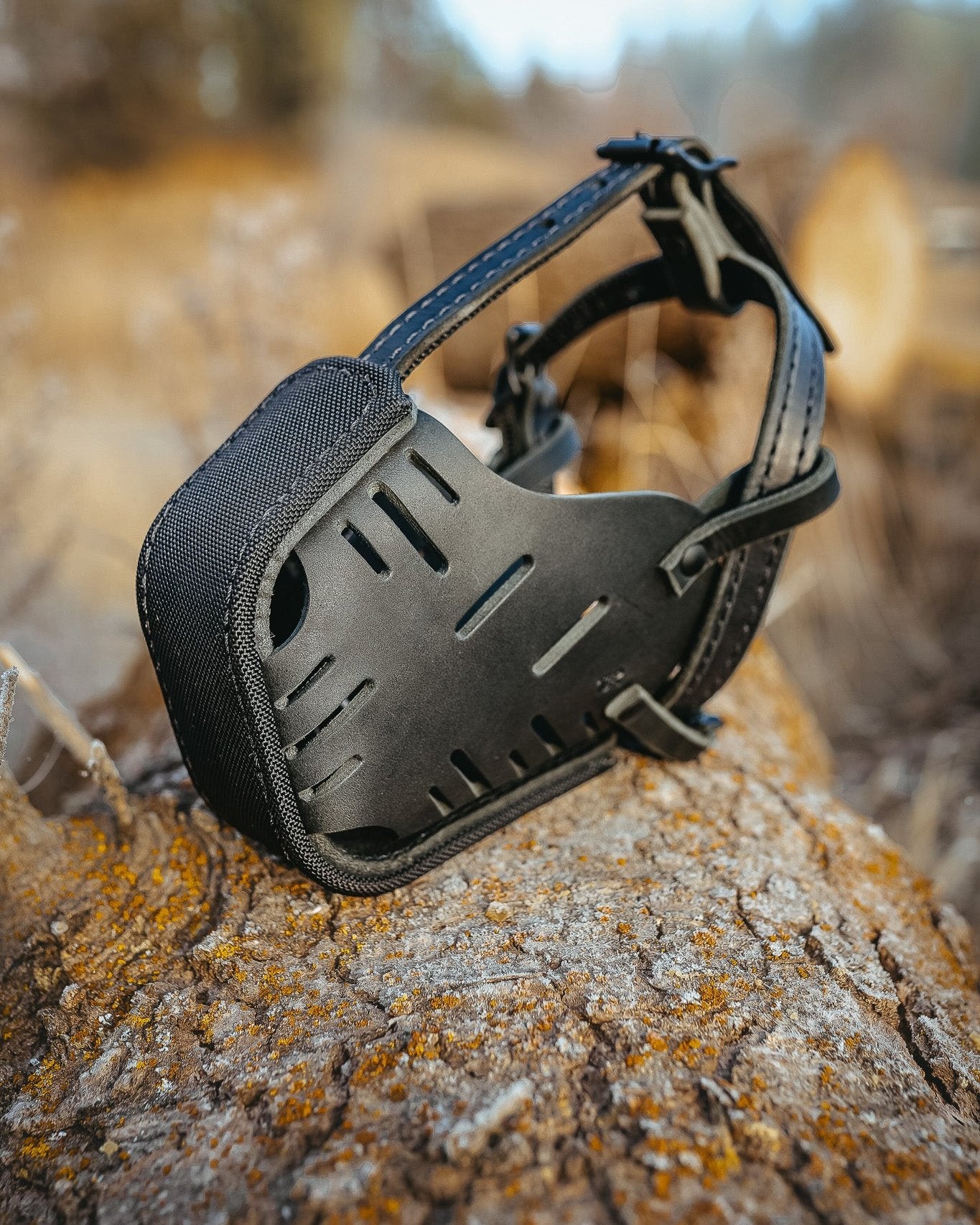 The Golden Ranch LLC