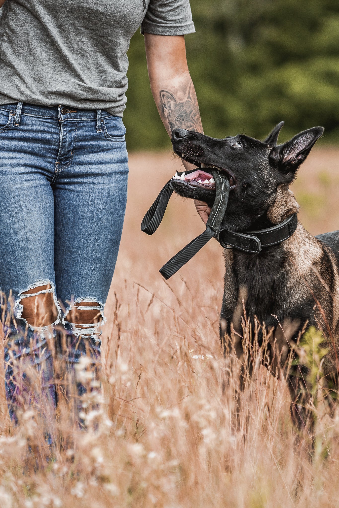 The Golden Ranch LLC