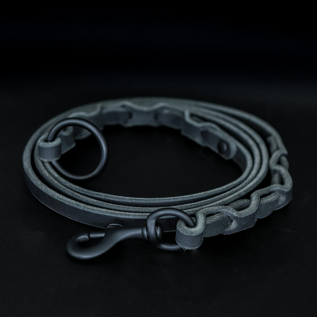 The TGR Leash – The Golden Ranch