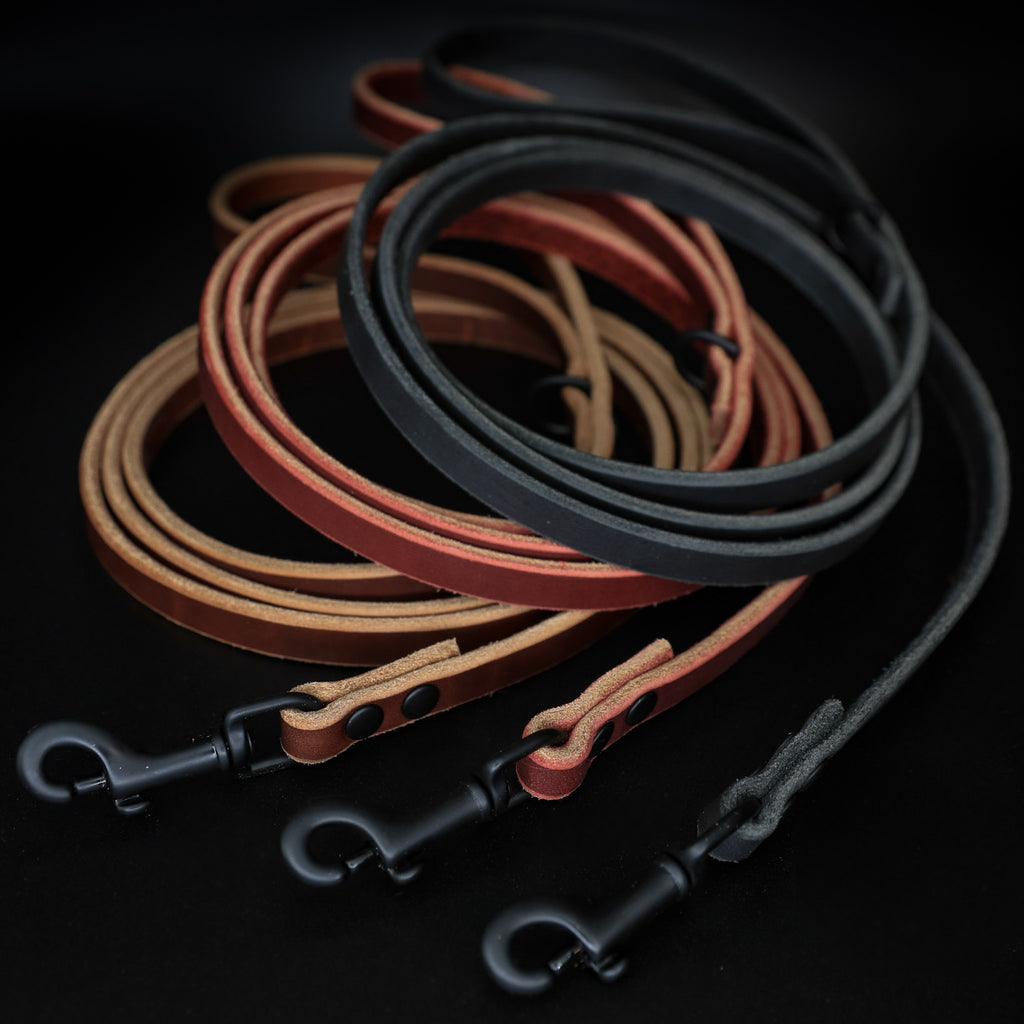 The Everyday Leash – The Golden Ranch